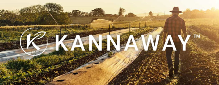 Top 20 Most Popular CBD MLM Companies in 2020